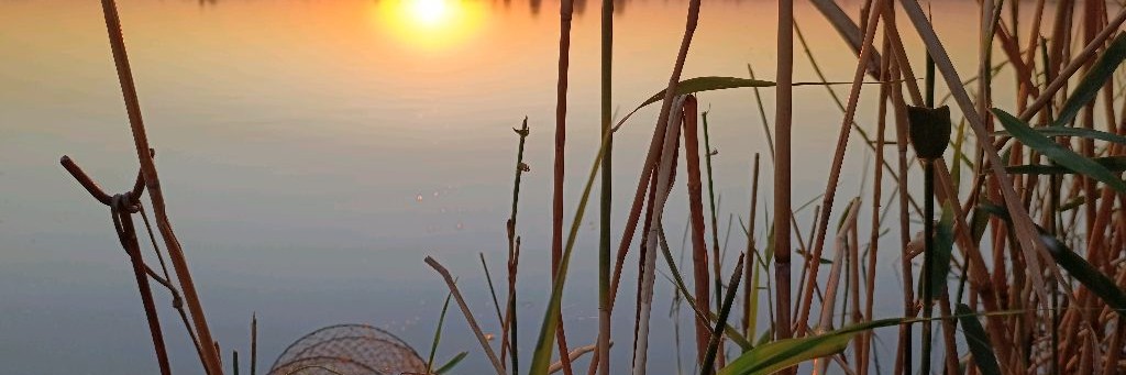 Рыбачёк 61R🇷🇺