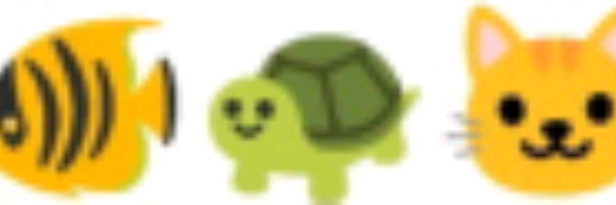 Мои питомцы🐠🐢🐱