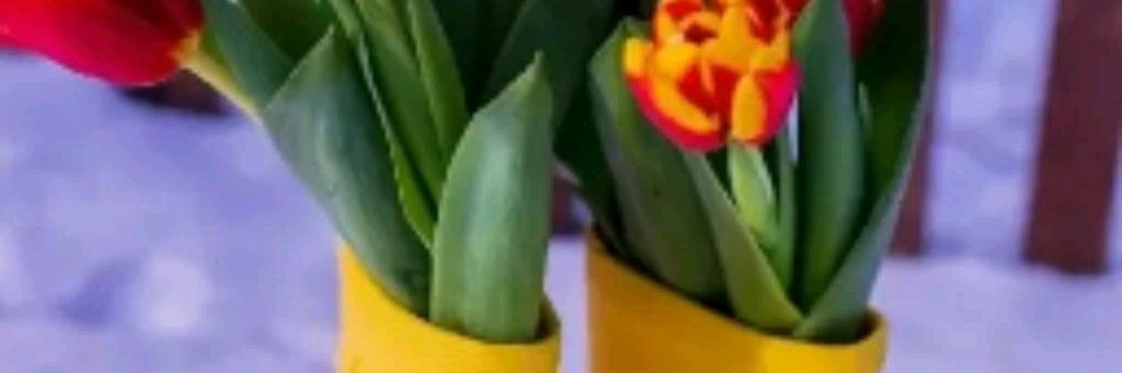 Помощь Каналу Карта Озон Банк 2204 3201 2314 5650