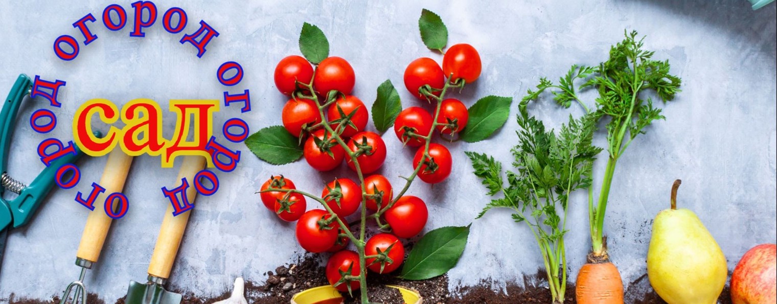 САД и ОГОРОД