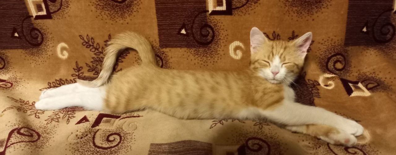 Соня & Пыжик