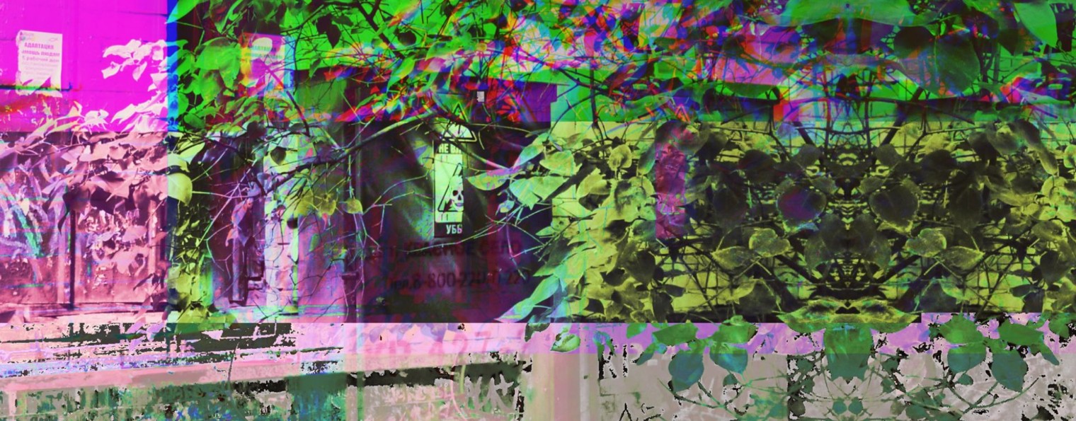 Кайкэн/Кибоку