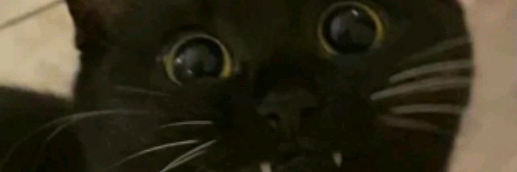 С̶о̶ф̶ь̶я̶^̶^̶