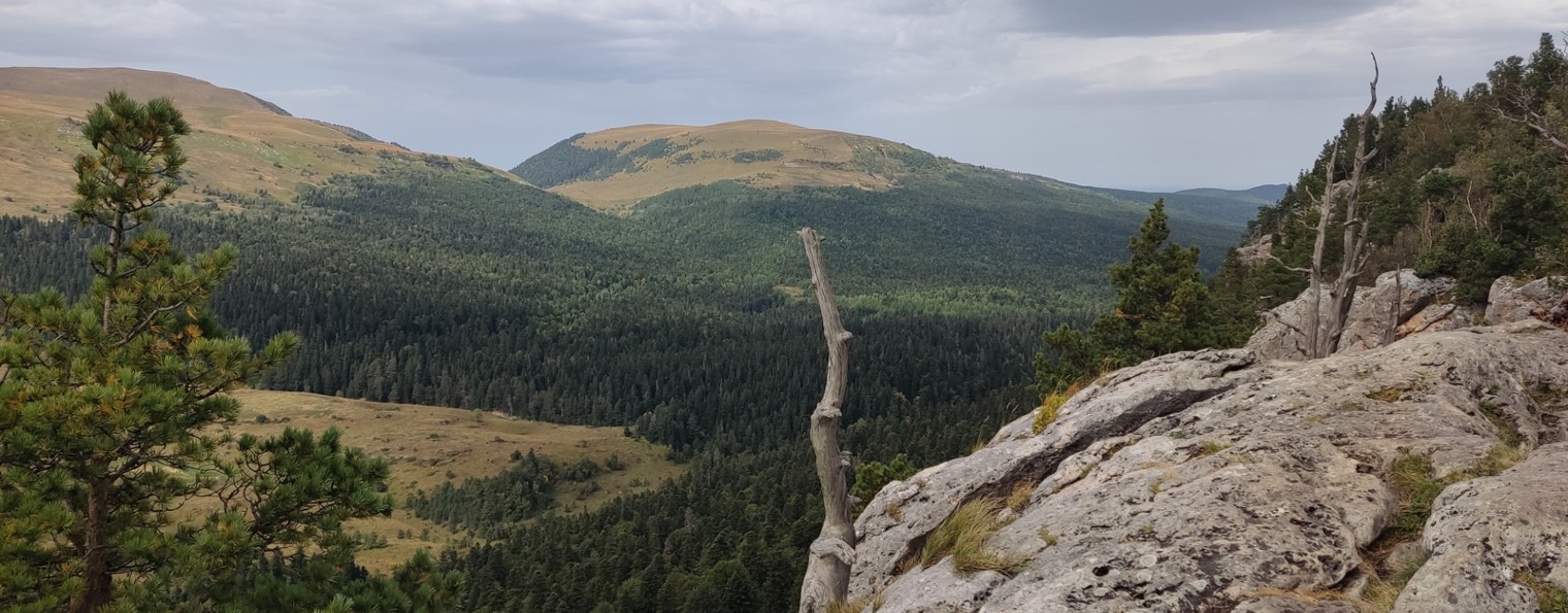 Дмитрий Лун