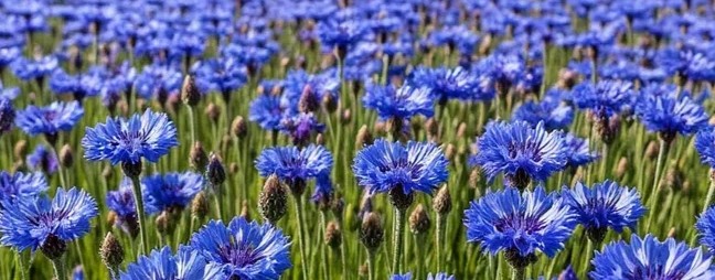 рыбачёк из 79го