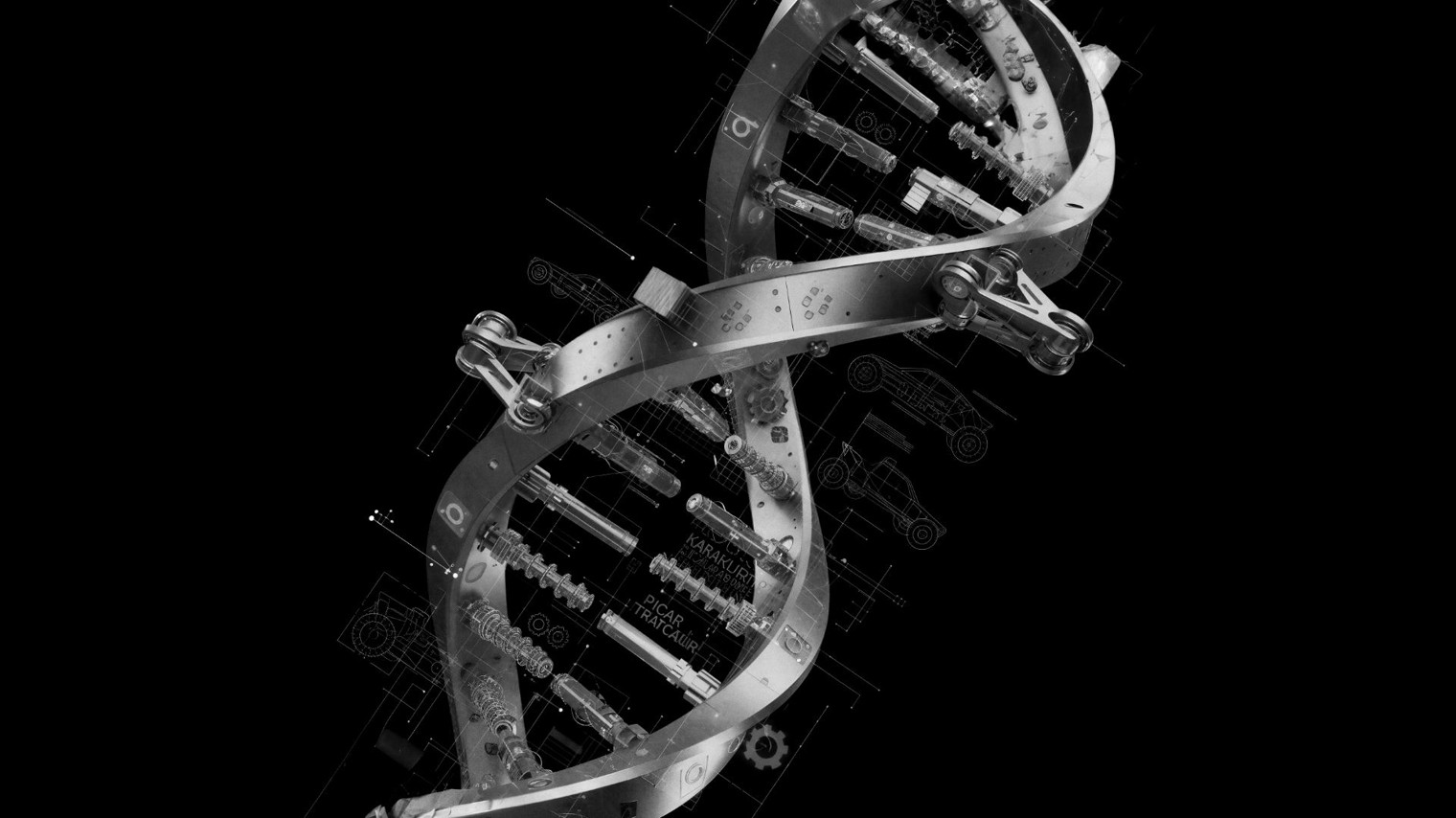 Компания «Сайдер»