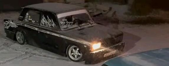 кот играет в кс 2