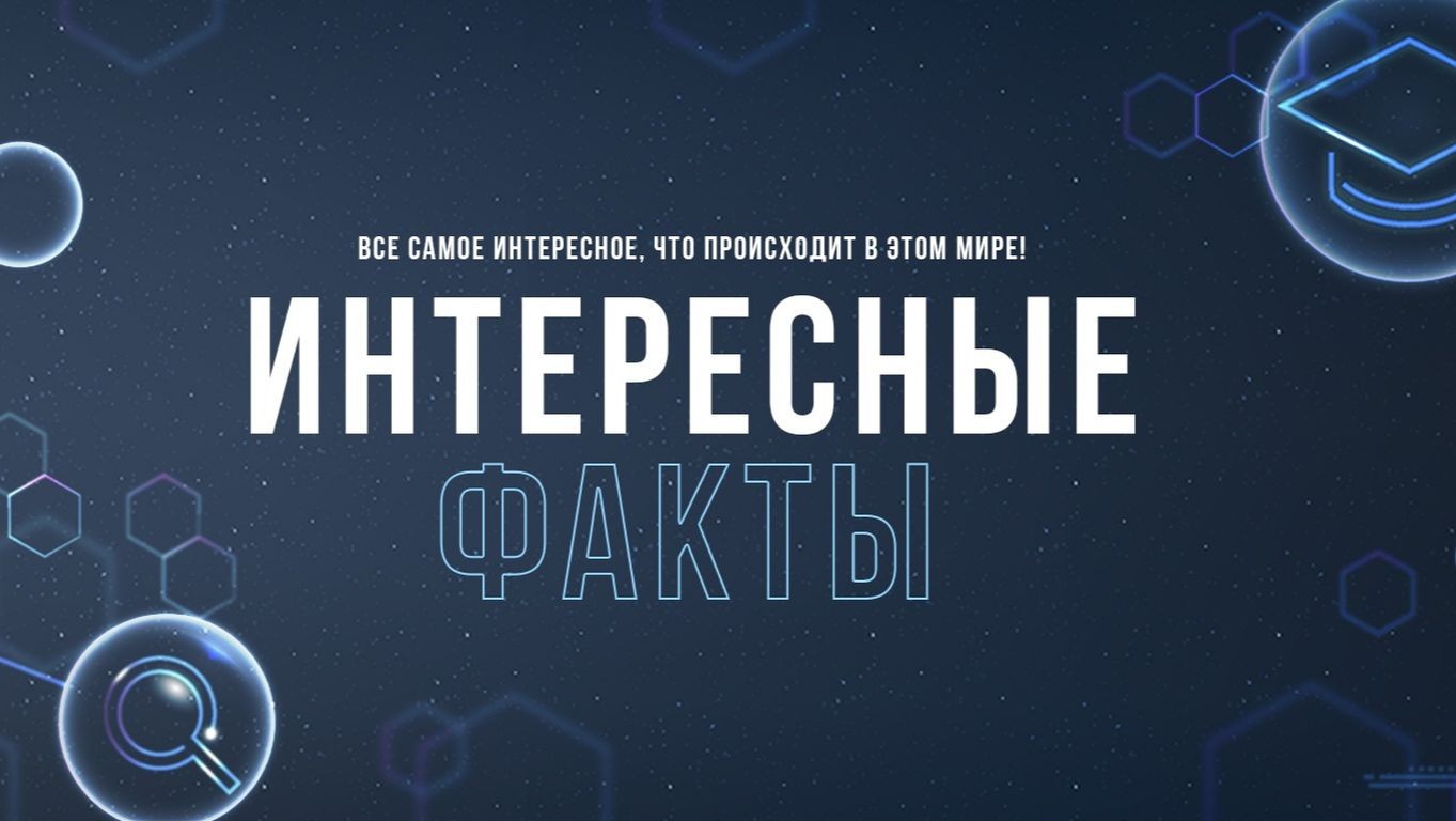 ТОП ФАКТЫ