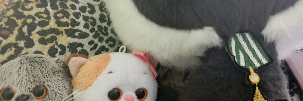 Котик