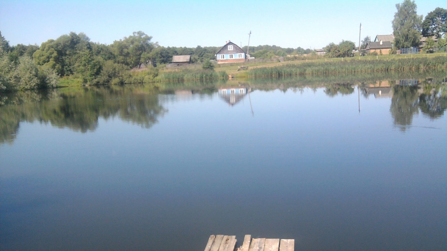 Поэт и песенник Нилова Светлана Стихи музыка моя