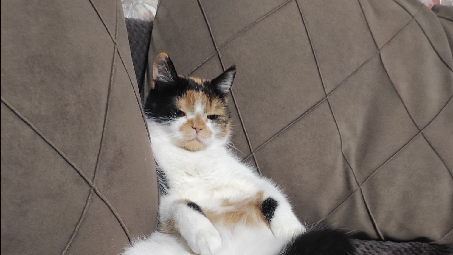 Макс И Егор