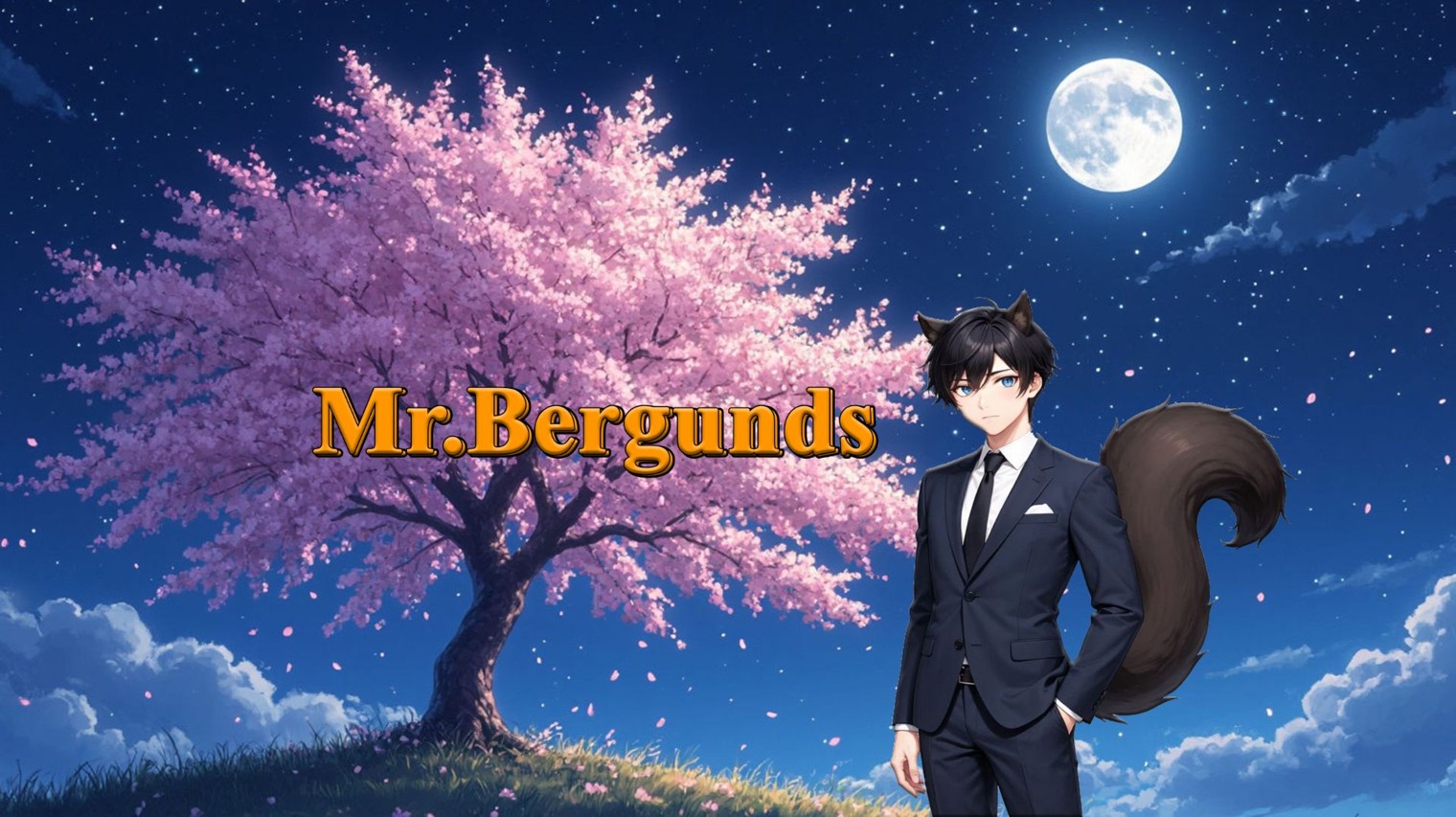 Mr.Bergund
