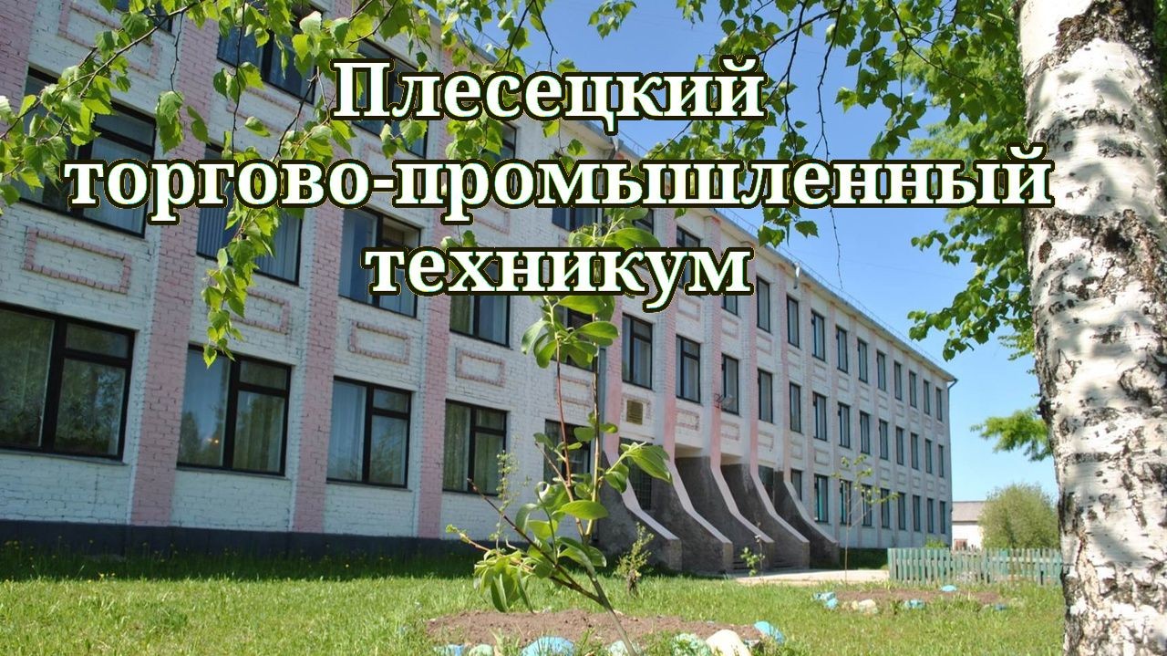 Плесецкий техникум