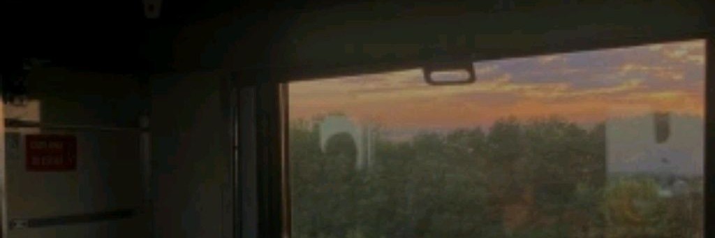 🦅🪵Тока чебуречек🦫🤎