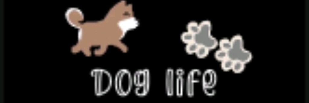 🐾Doglife🐾