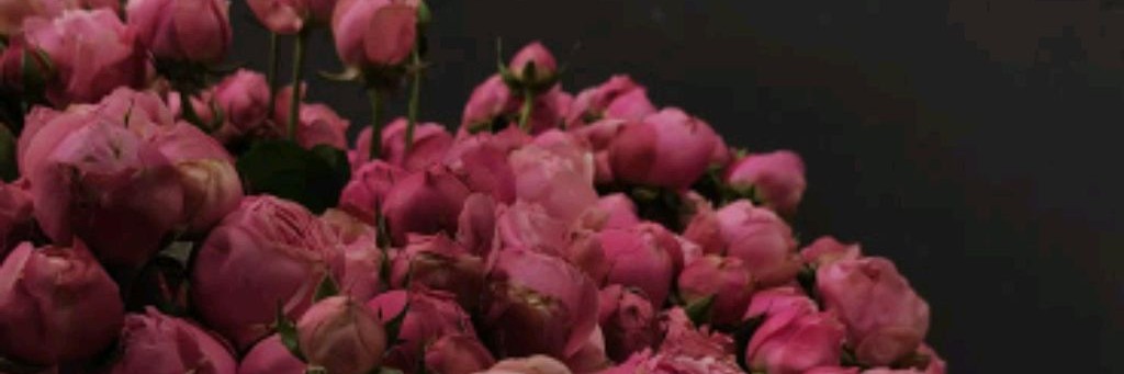 Половинко_Ирина