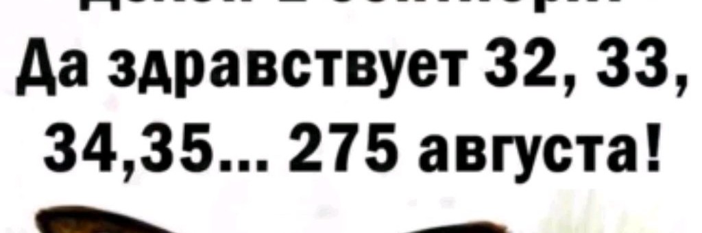 Кот Обормот