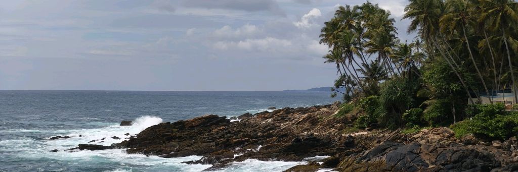 Ната Богата