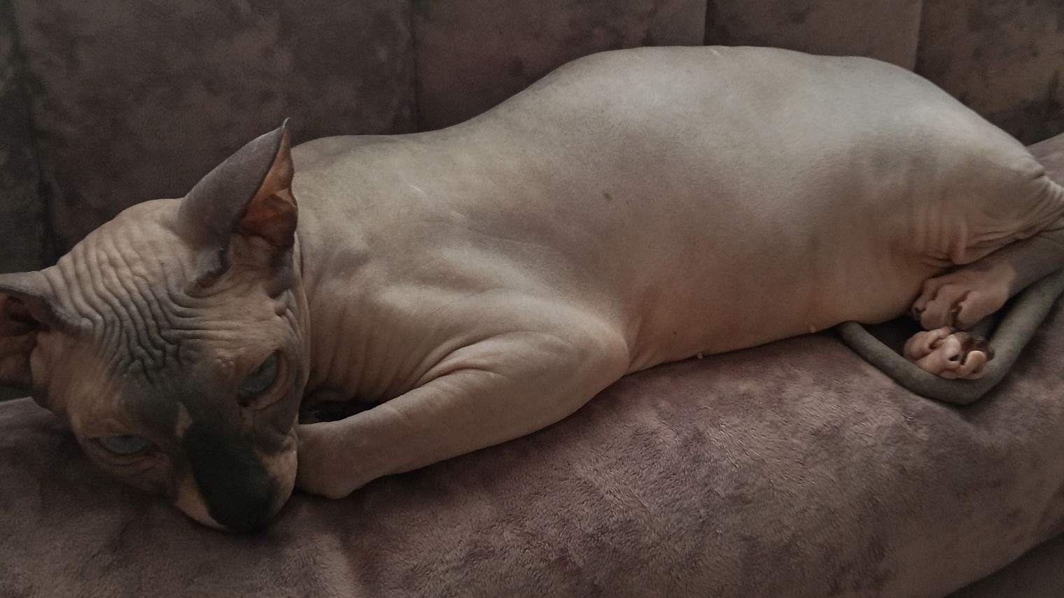 Aделя_на_связи🫣💞