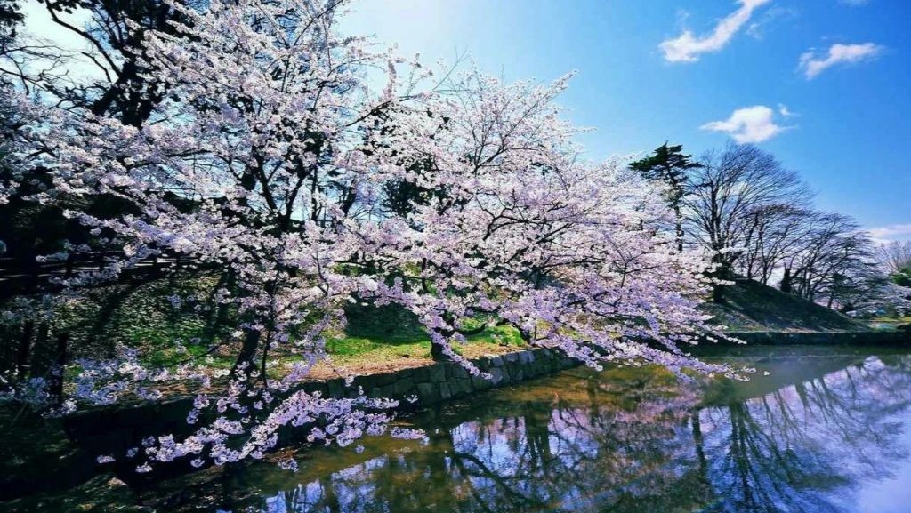 ❕🌸~Alina_time_vlogs~🫶🏽❕