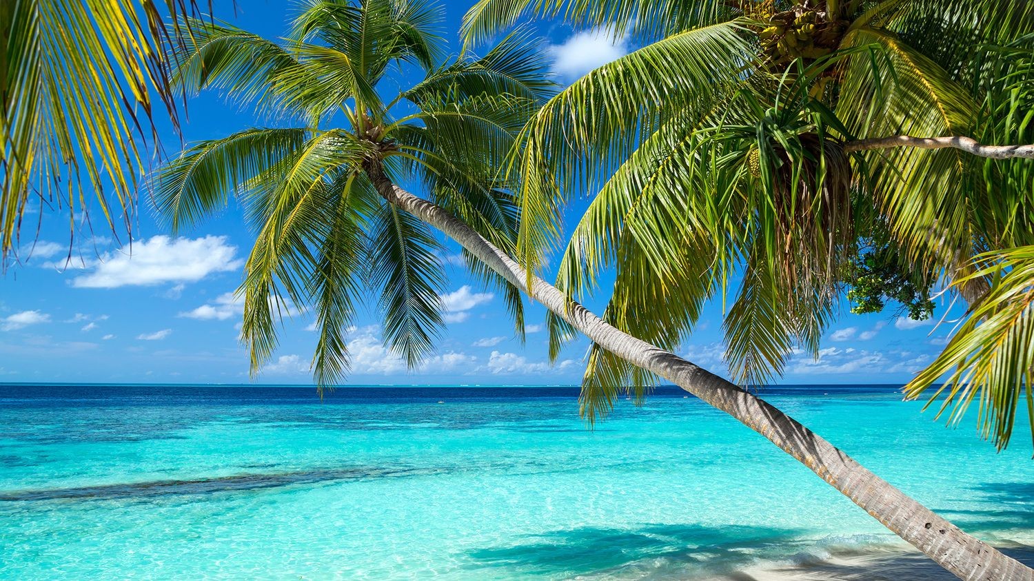 Креатив от Полины, Алёны и подруг