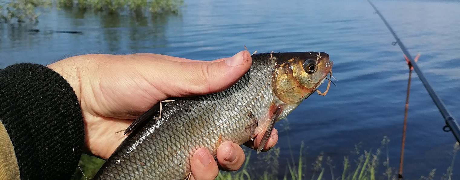 Не за рыбой, а на рыбалку.
