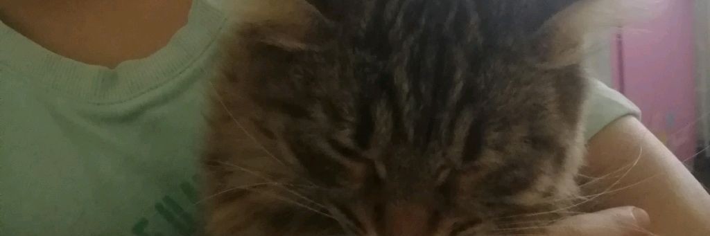 Полин и Вкусняшки