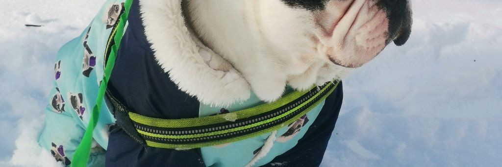 Просто о сложном