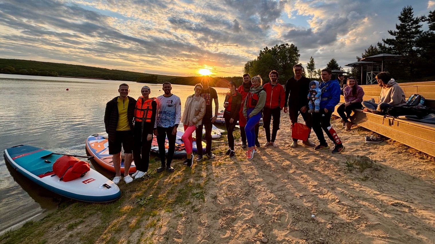 САП сплав 31