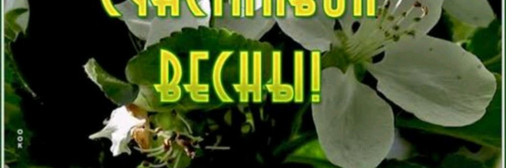 Александр телевизионщик на ТВ