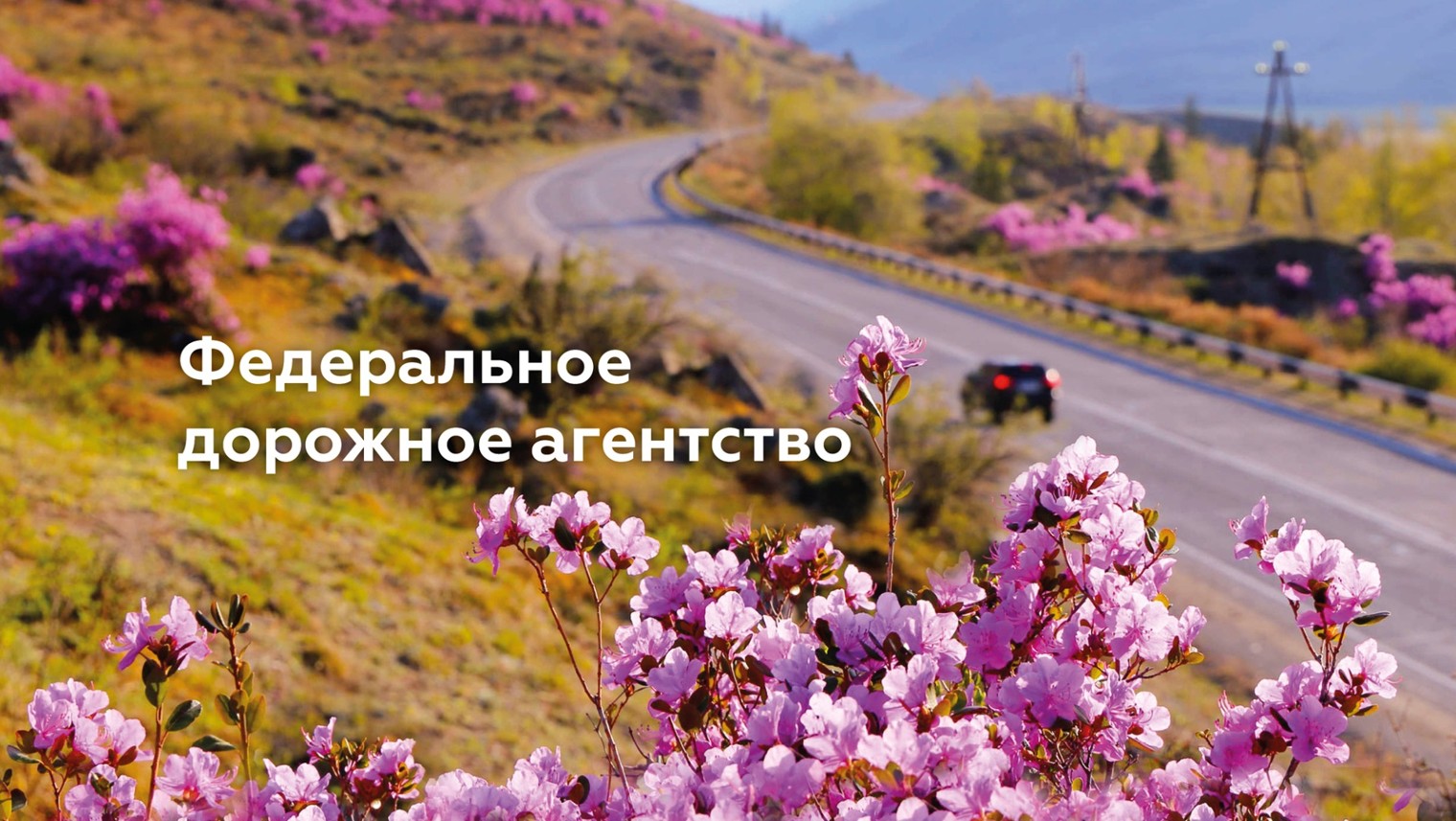 Росавтодор