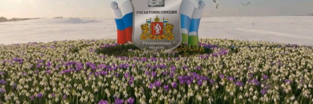 Госавтоинспекция Свердловской области