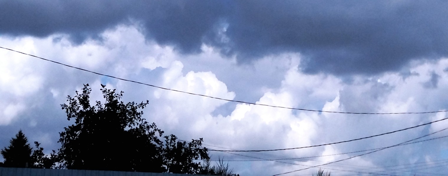 Домик в деревне окнами в сад