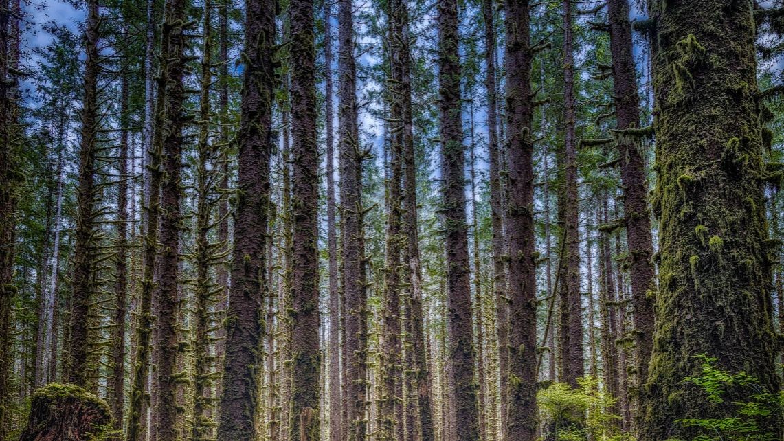 Про100 жизнь Пермский край