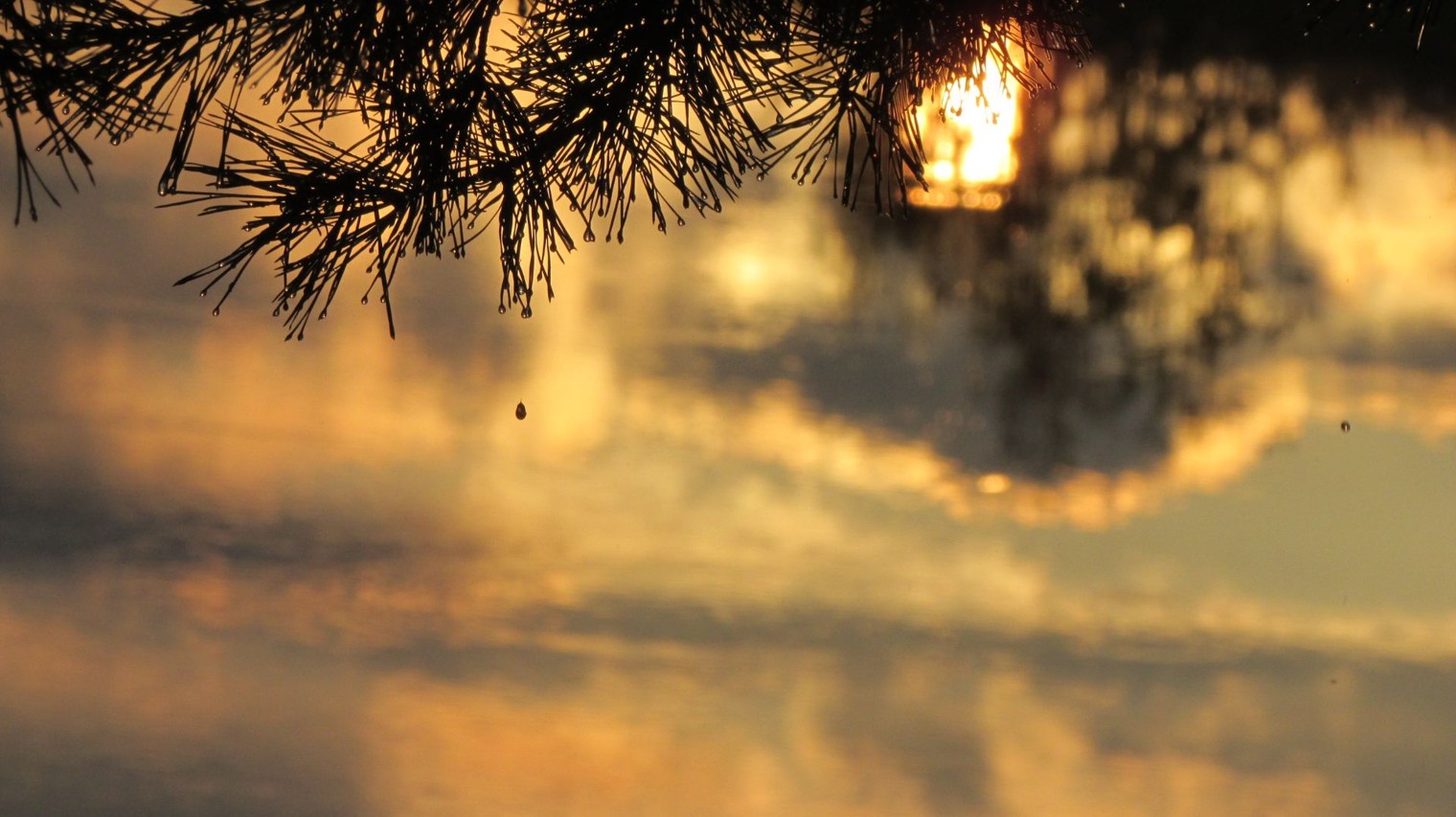 Искусство замечать | Картины и наблюдения