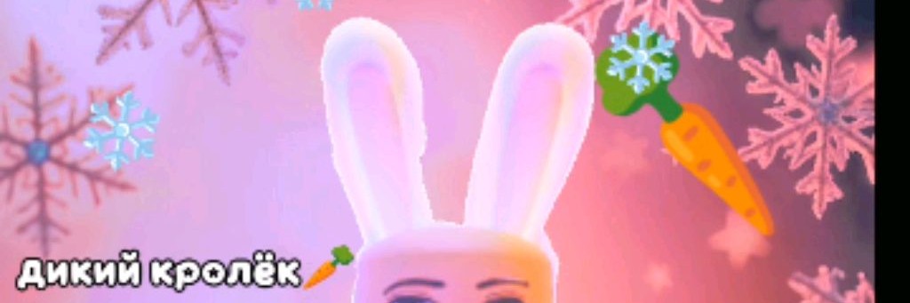 Дикий Кролик🥕