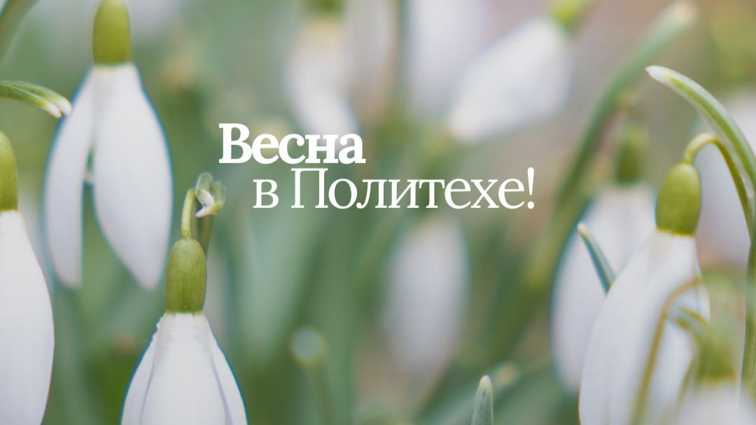 Политех Петра