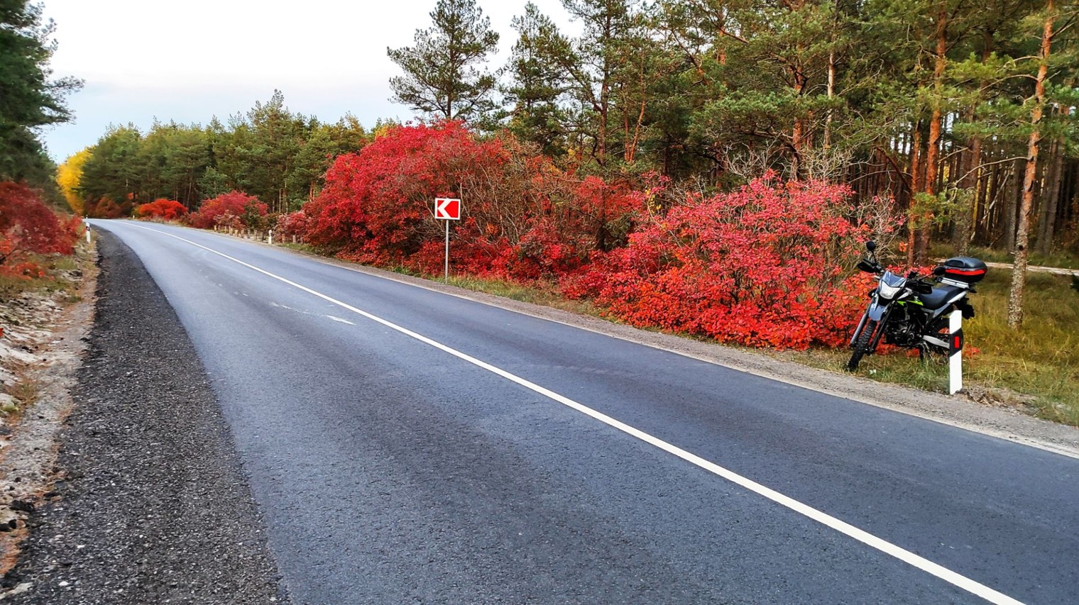 Евгений Вэг