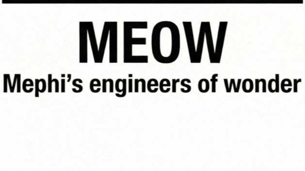 Команда Mephi's Engeneers Of Wonder