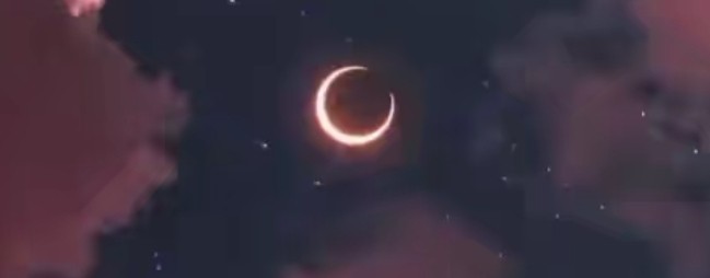 ~😺Котя Тока😽~