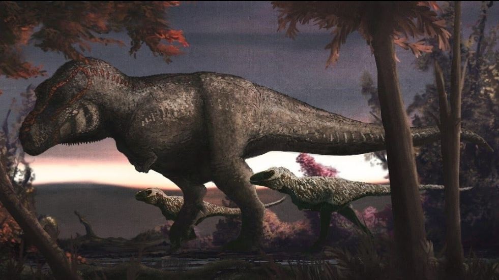 marats / the cursed isle