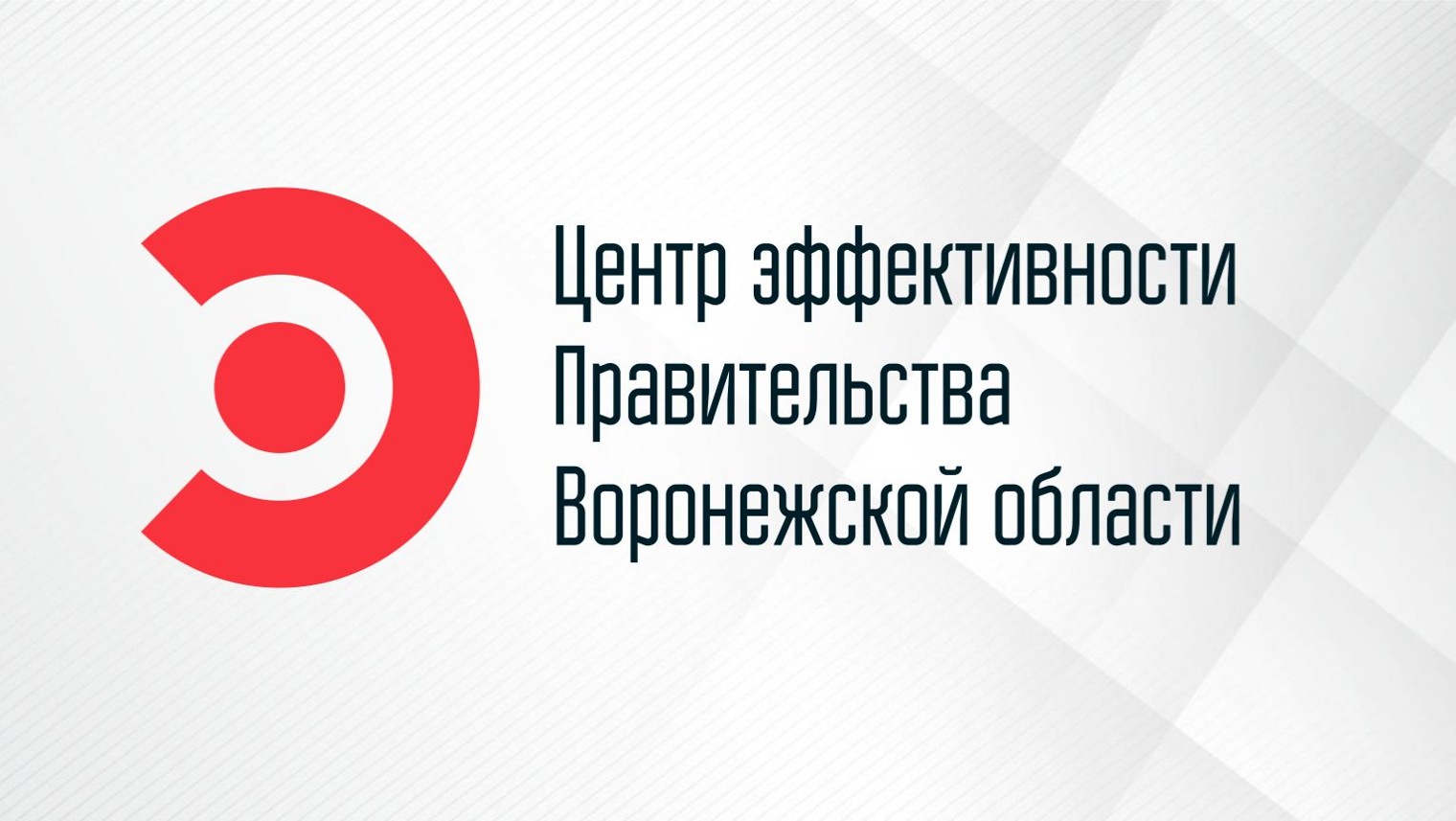 Центр Эффективности Правительства ВО