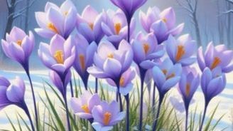 Железногорочка в Сочи