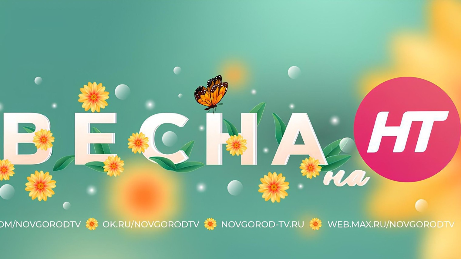 Новгородское областное телевидение