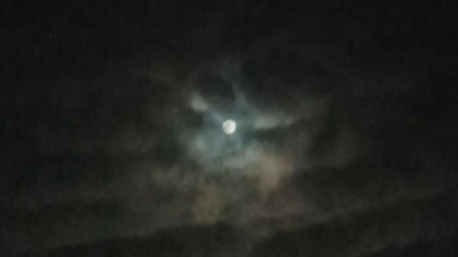 ★ᥱᥴᥣιρ᥉ᥱ 𐔖𐔥 hᥲrbιᥒⳋᥱr★WCUE/WCLT