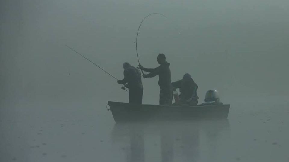 Крольчатина