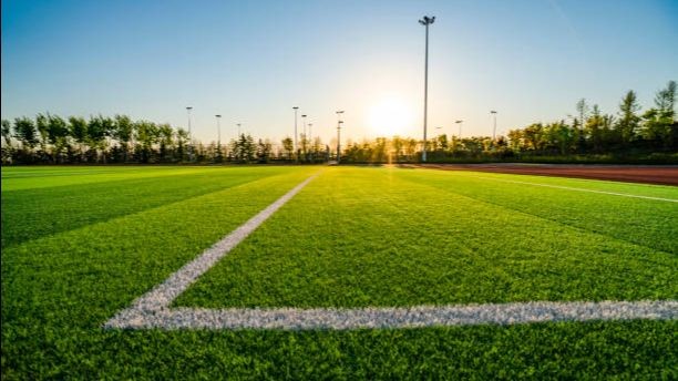 Академия Спарта | Команда 2012