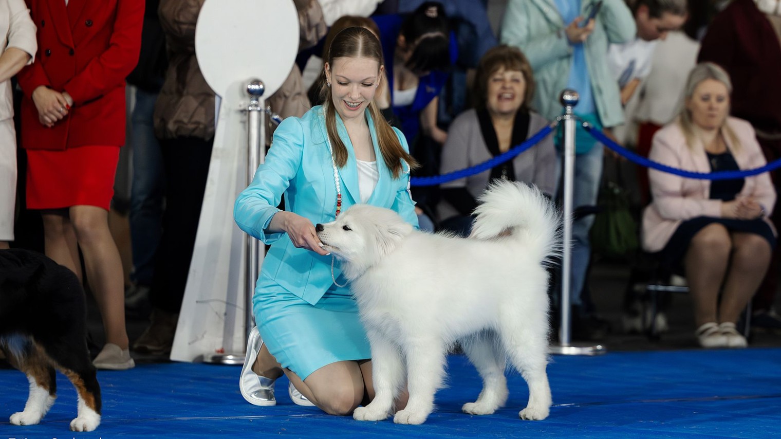 Амурские самоеды
