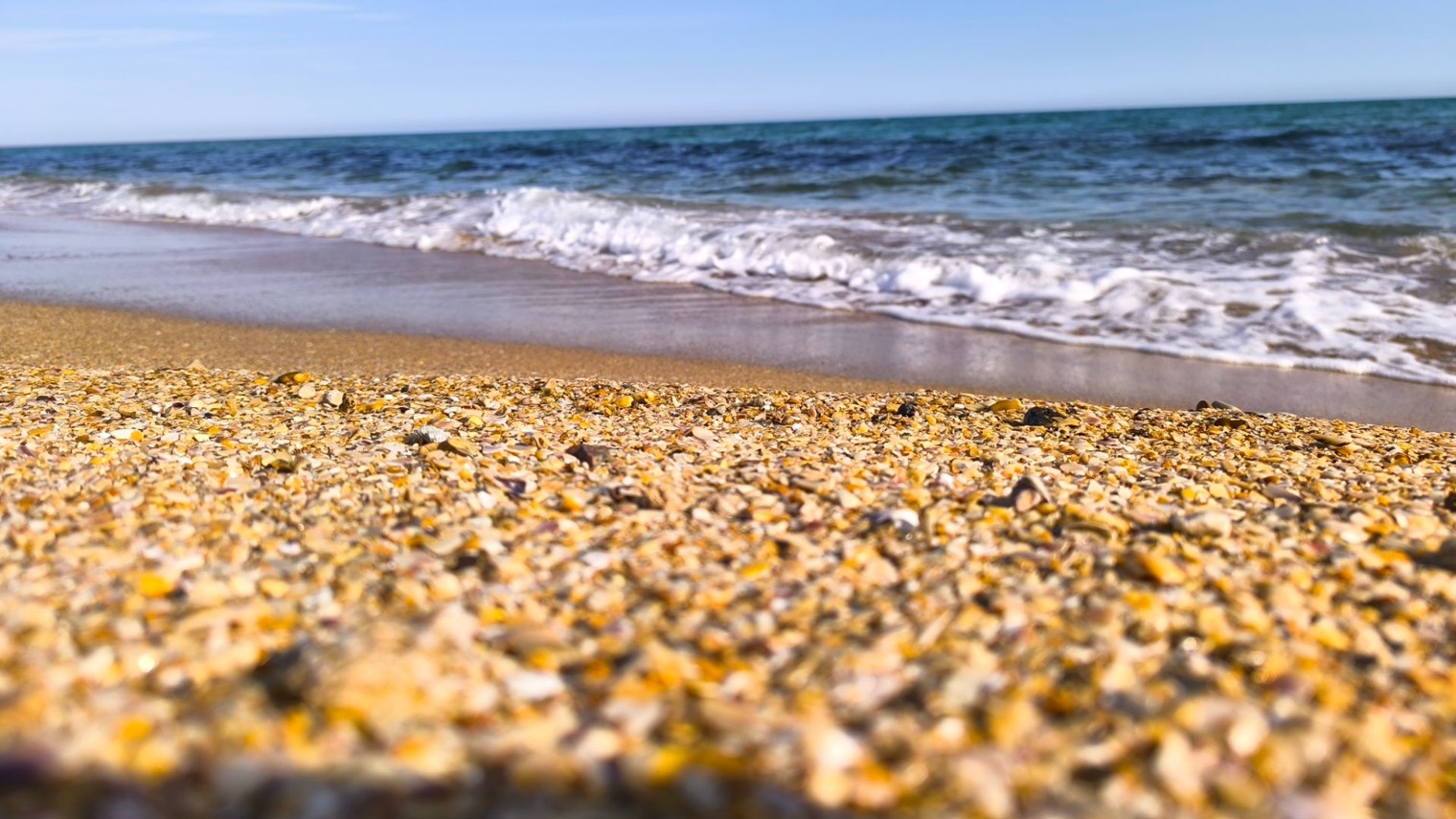 Ловлю Момент, Рыба - Бонусом