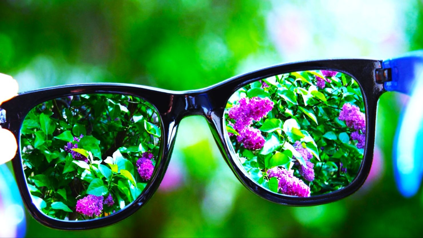 ПОЕХАЛИ, ПОСМОТРИМ!